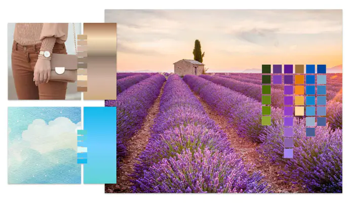 Graphic Design Software – Windows – CorelDRAW Graphics Suite