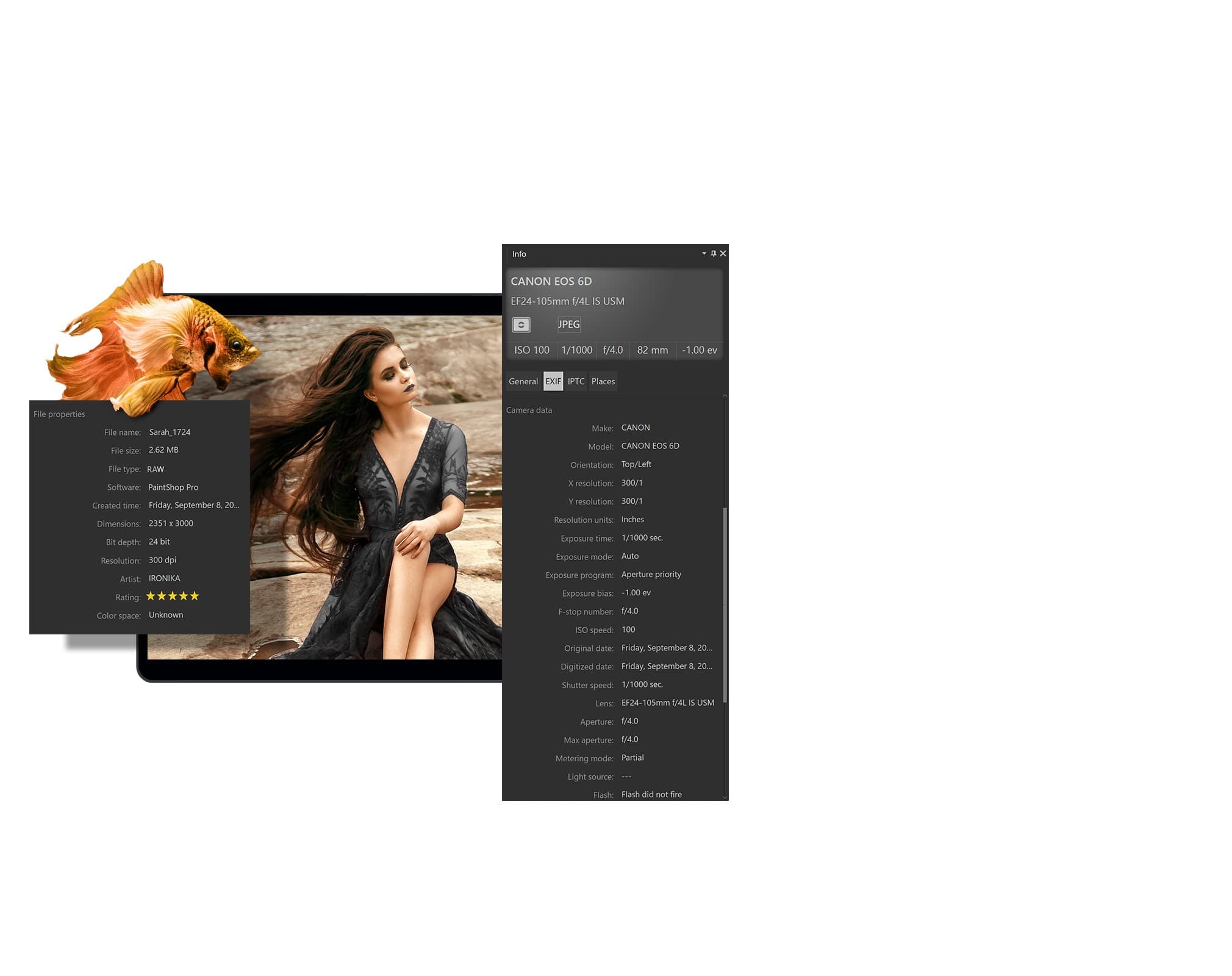 Graphic Design Software – Windows – CorelDRAW Graphics Suite